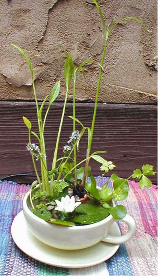 PARADISUL VERDE...: Mini iazuri,idei fascinante pentru un plus de ...