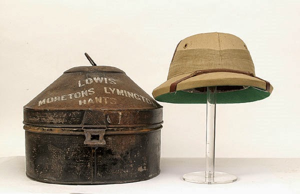 The Great Wildebeest Migration: Sola topi