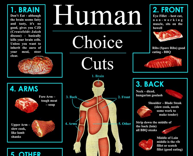 Lucid Dementia: Human Meat Guide For Zombies