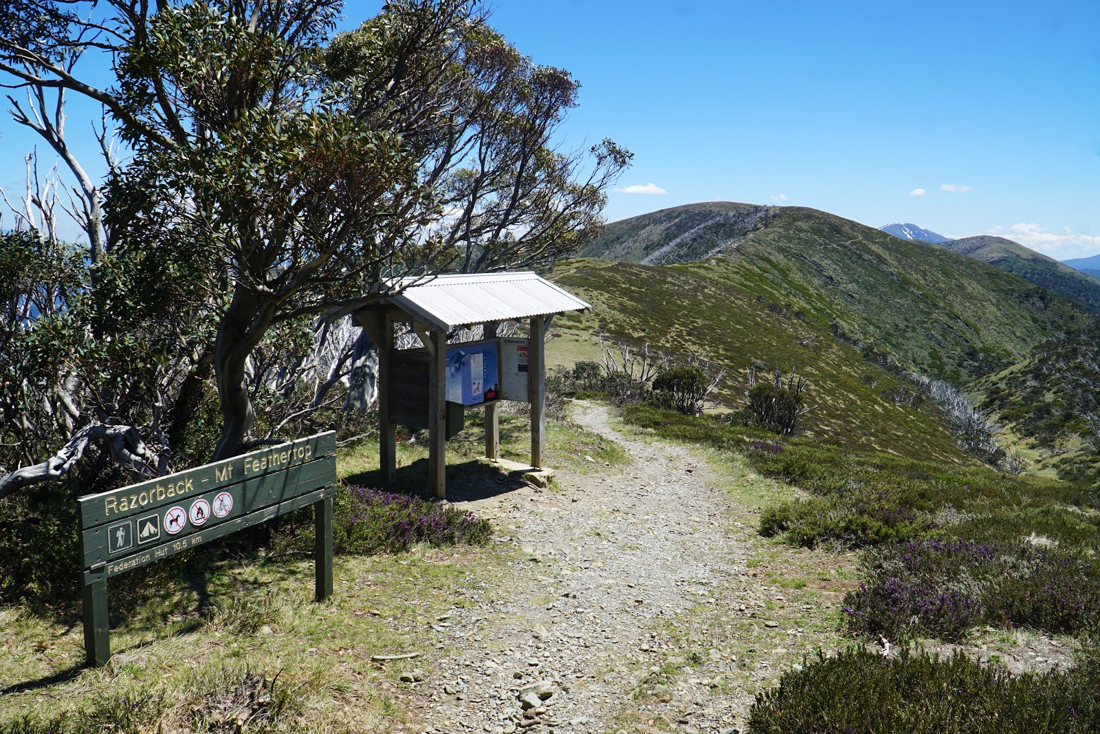 Mt Feathertop via the Razorback (Alpine NP) ~ The Long Way's Better