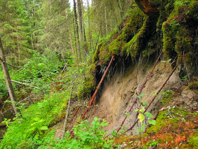 Luolamiehen blogi: Juupajoen raviinirotko, Juupajoki