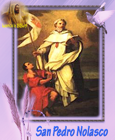 Leamos la BIBLIA: San Pedro Nolasco
