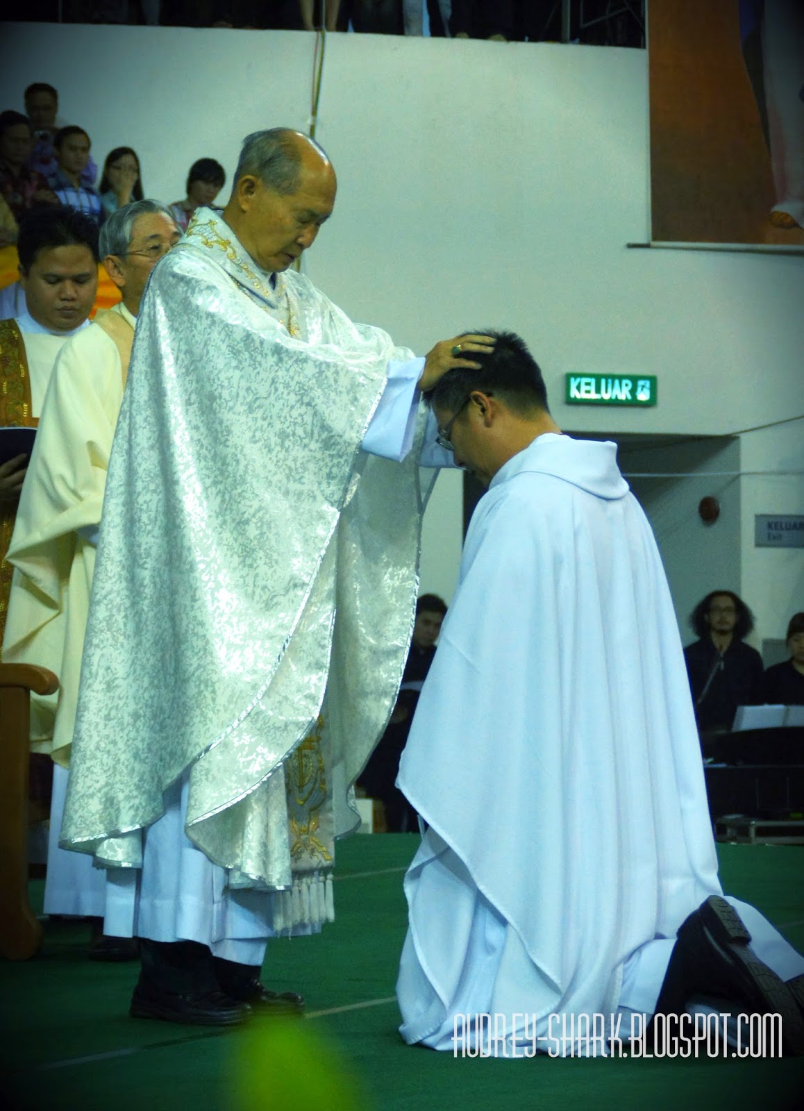 Ascending Mount Carmel: An Episcopal Ordination: Joy with a tinge of ...
