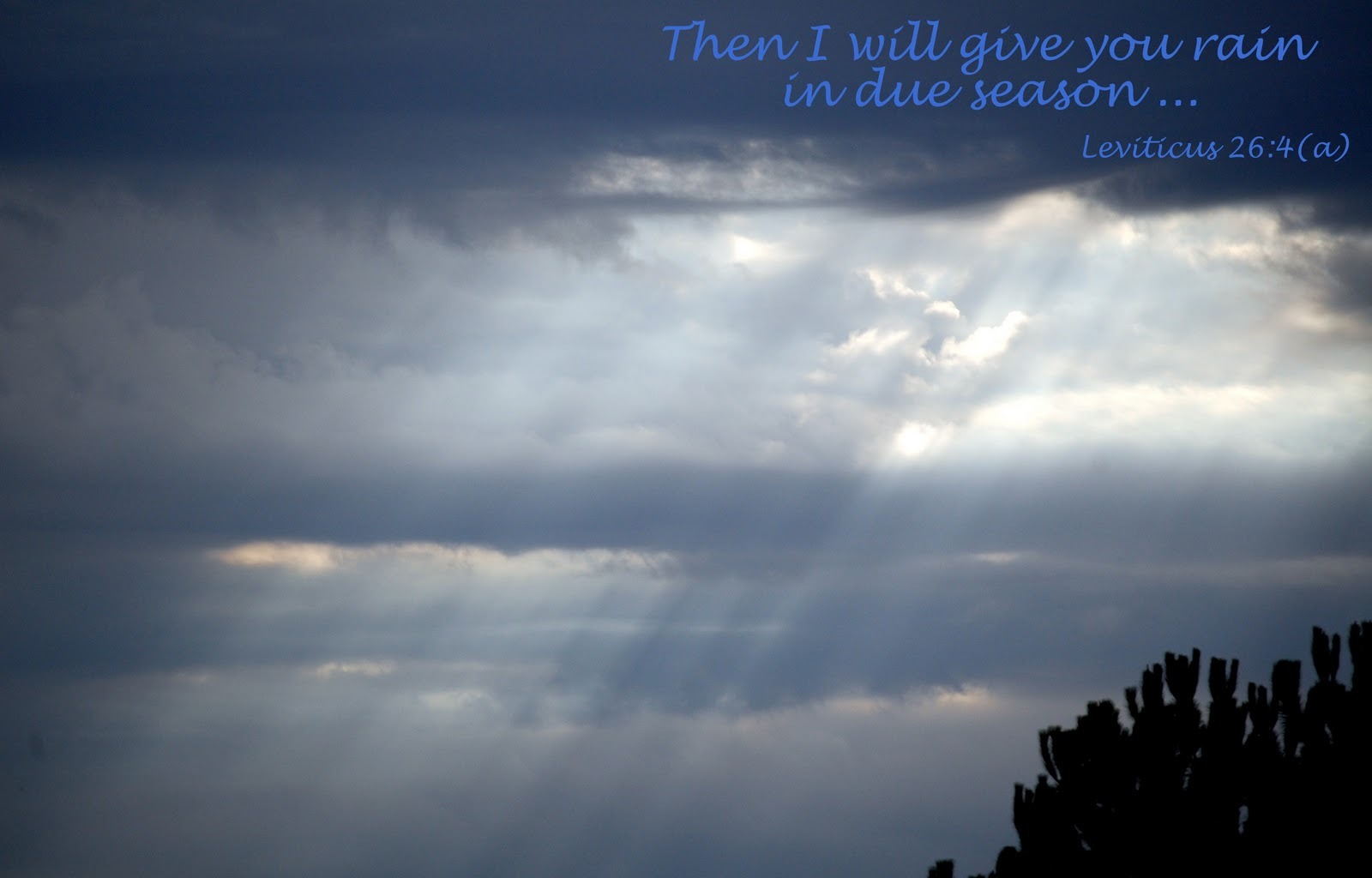 Grace of Jesus Ministry: i will send you rain in its season [ leviticus ...