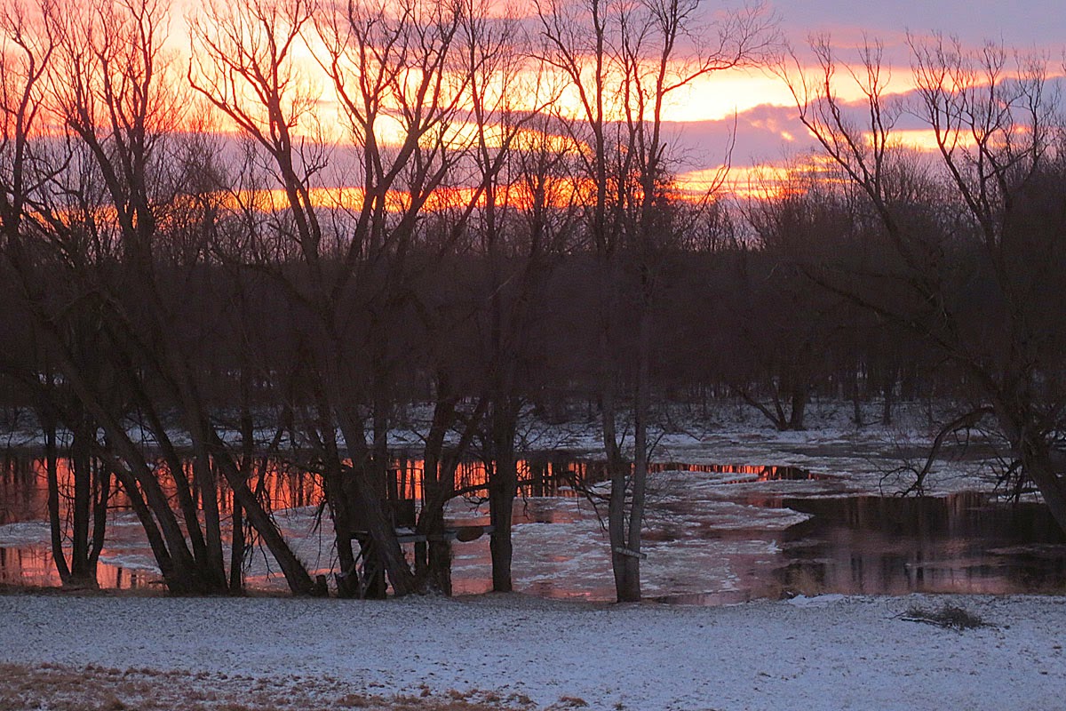Art Bead Scene Blog: Inside the Studio with Mary Harding