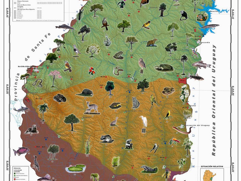 primaria digital "proyecto Parques Nacionales": IMÁGENES DE FLORA Y ...