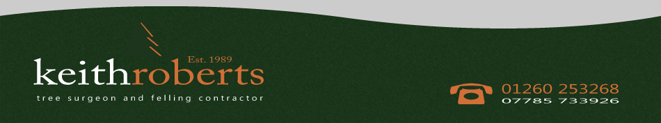 Keith Roberts Tree Surgeon: Tree Surgery - Why It May Make Sense For ...