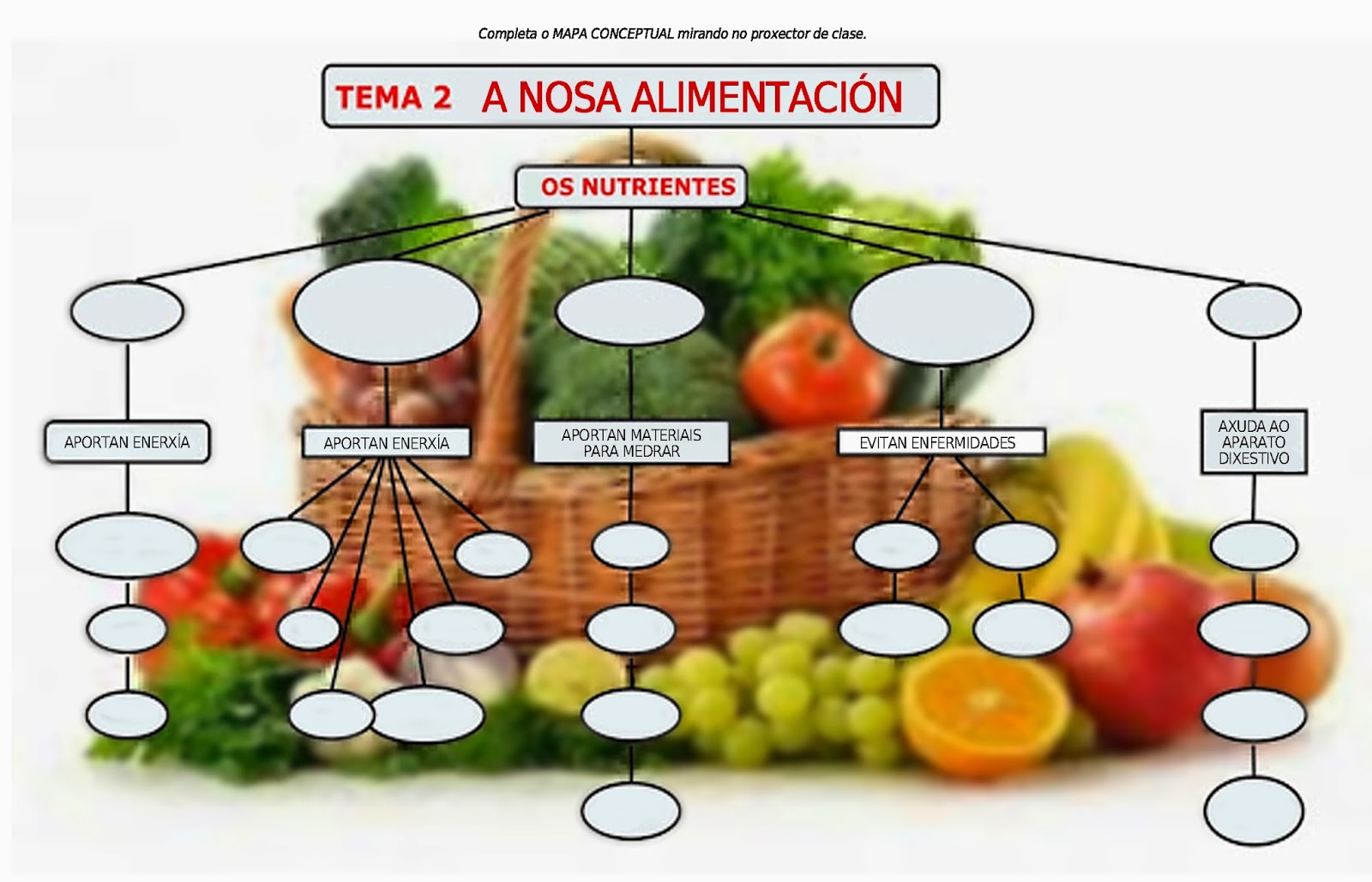 A NOSA ALIMENTACIÓN: MAPA CONCEPTUAL