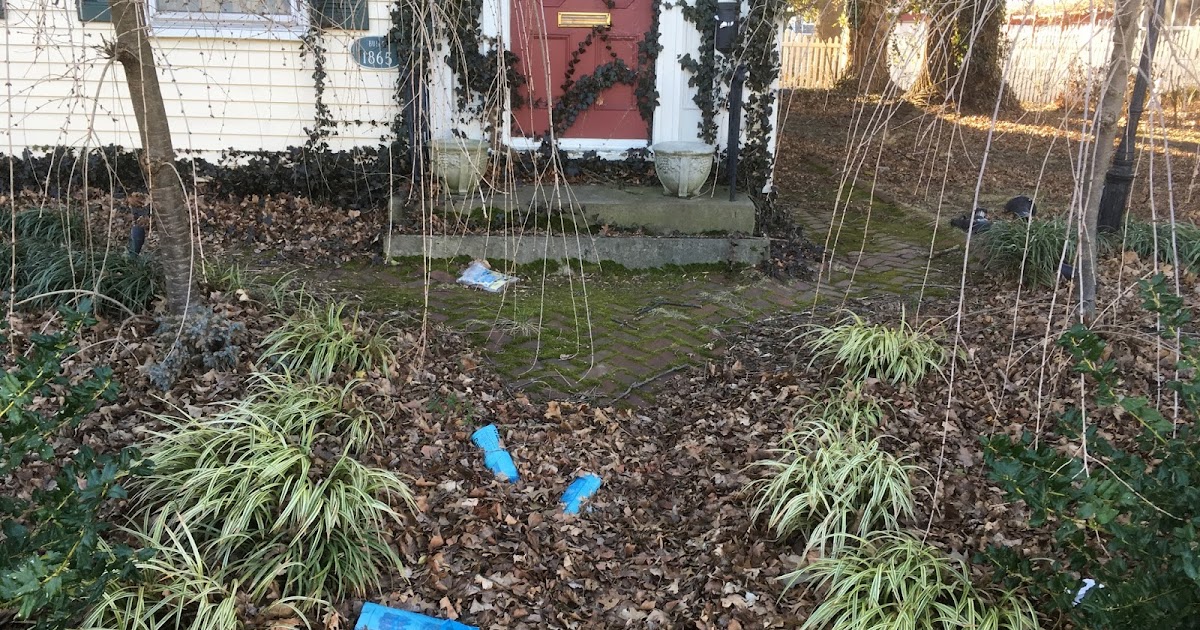 NA Confidential: Neighborhood litter: "A dirty and dangerous ...