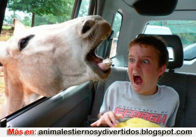 Imagenes de chistosas de personas - Imagui