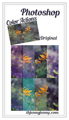 Free Photoshop Color Actions | ibjennyjenny Free Resources