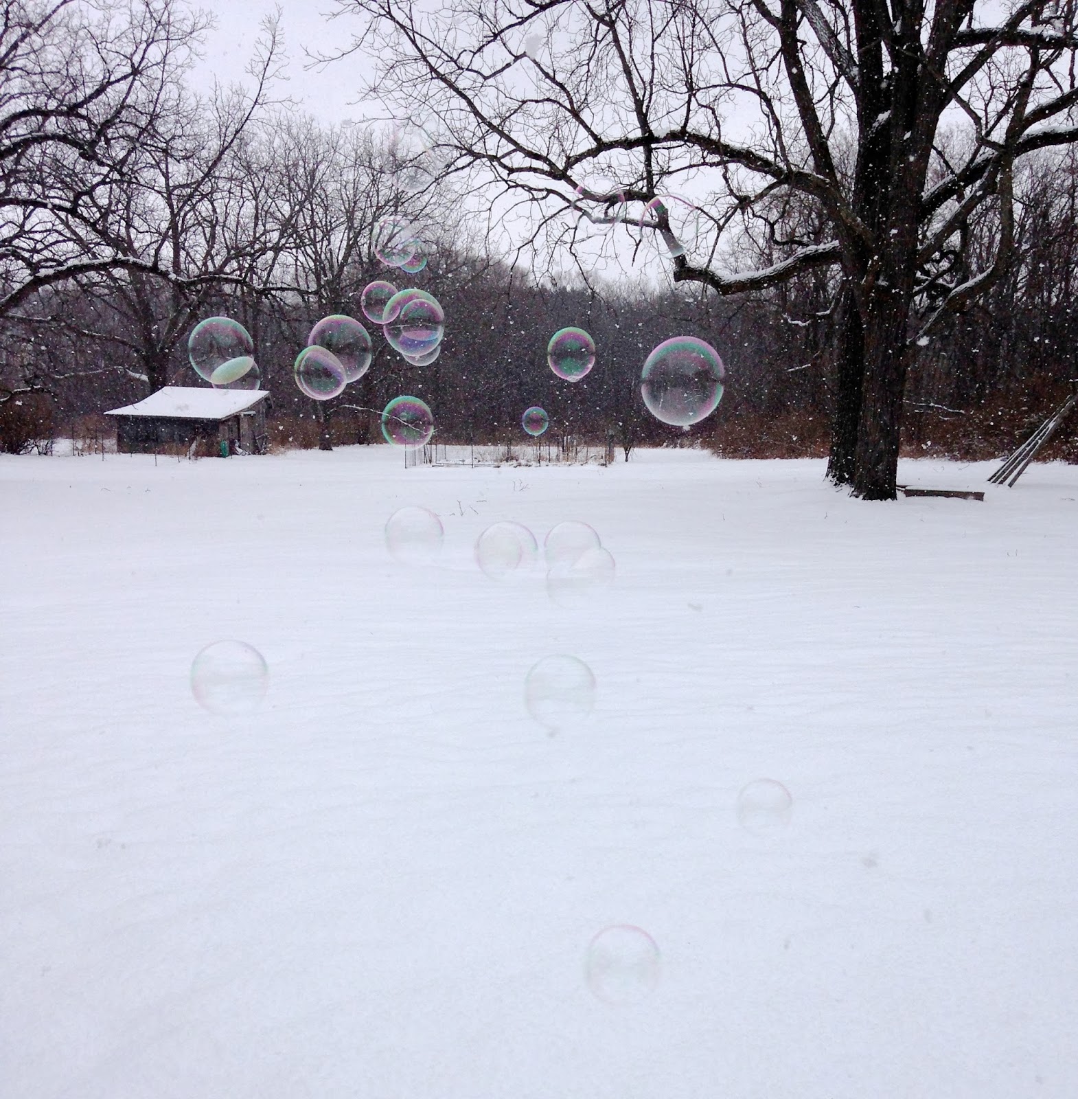 maya*made: snow bubbles