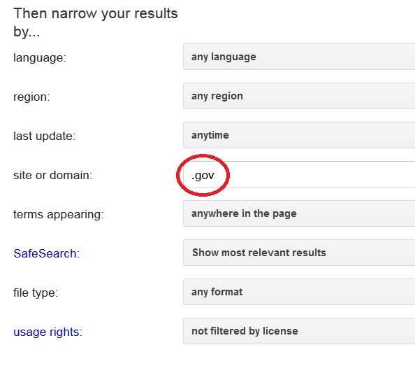 INF Modules: Google's Advanced Search Options: Domain Search