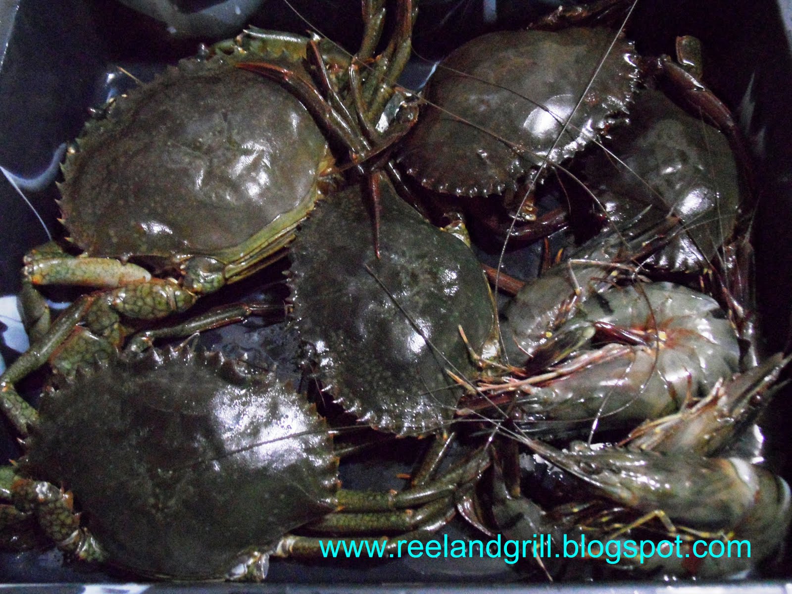 Reel and Grill: Alimango Con Sotanghon (Mud Crab with Glass Noodles)