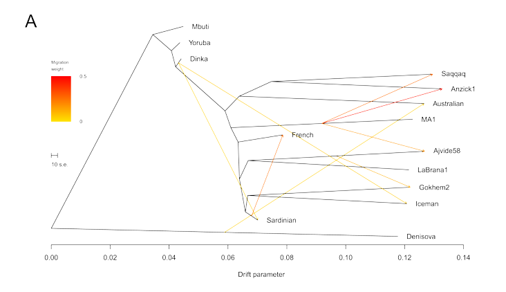 La evidencia genética de la paleohistoria occidental