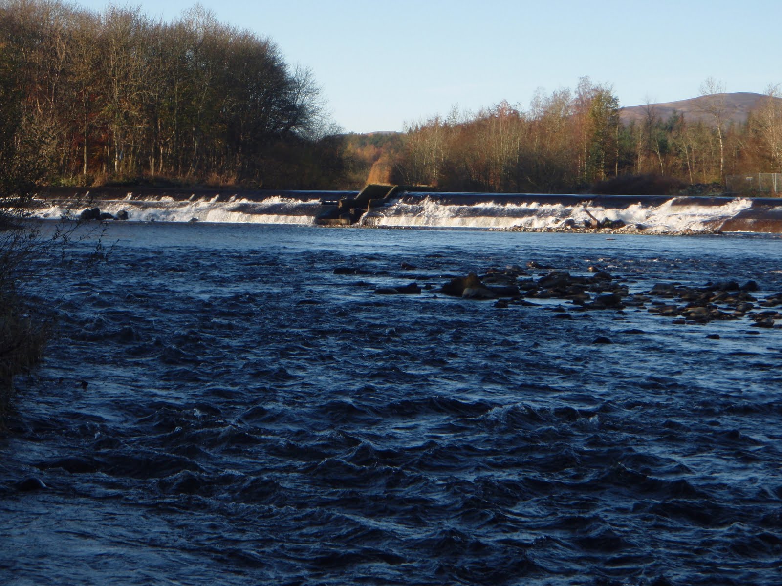 Scottish Fishing Guide: River Ettrick