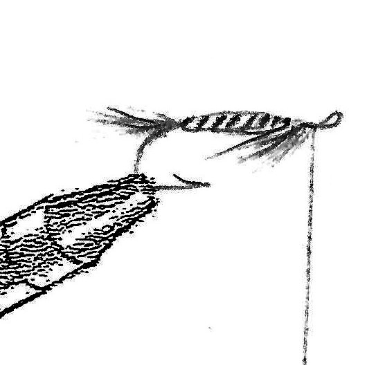 Fly Fishing with Doug Stewart: The Highly Acclaimed Black Ghost ...