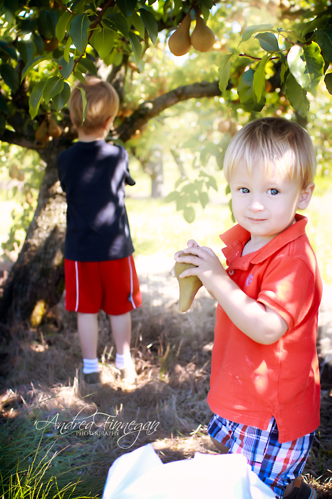 Andrea Finnegan Photography