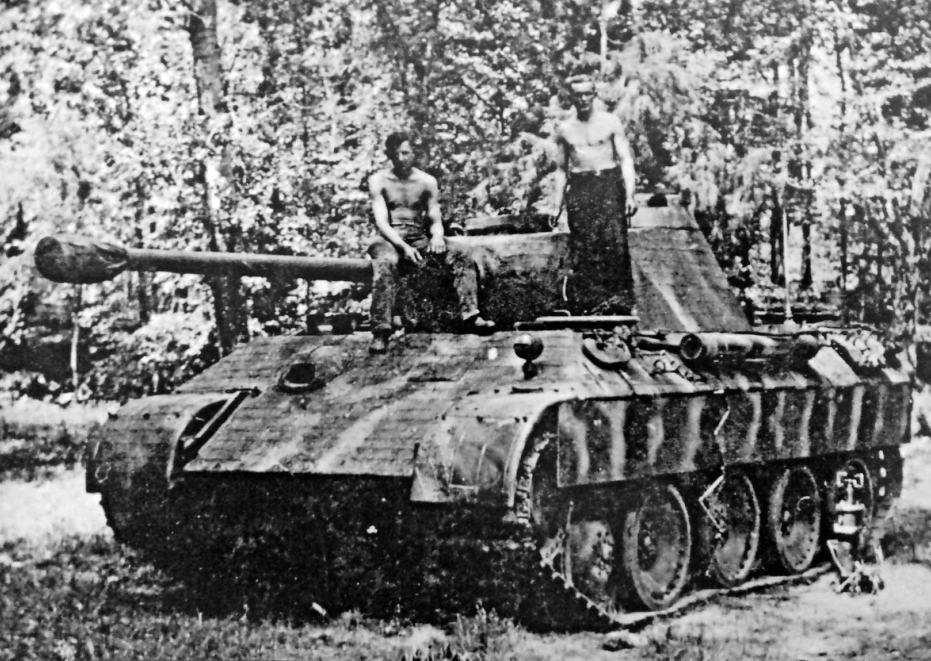 HISTOREICH: SS-PANZER-REGIMENT 2 DAS REICH DANS LE TARN ET GARONNE (FRANCE)