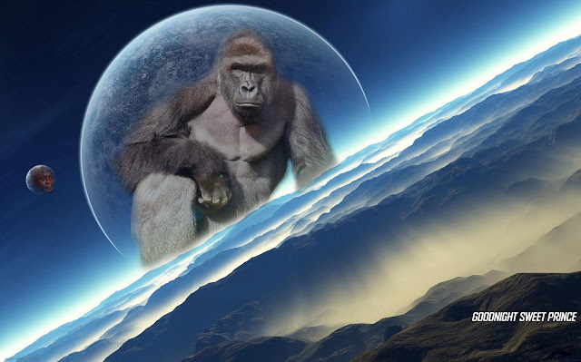 Harambe in the Space Wallpaper