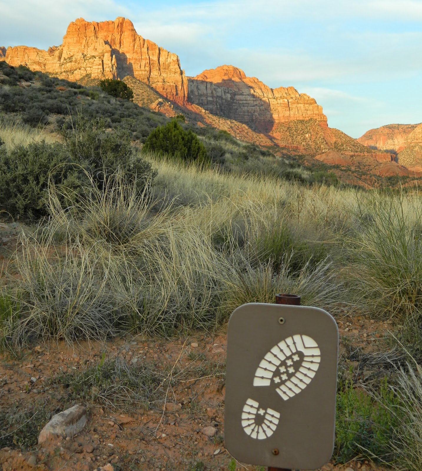 Dancing 'Cross the Country: The Chinle Trail: Zion National Park