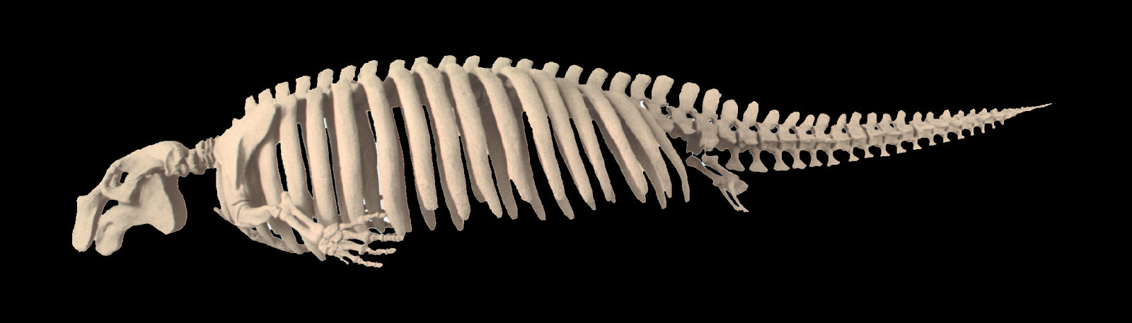 The Expeditioner's Discovery Guild: A little bit of Everything: Museums ...