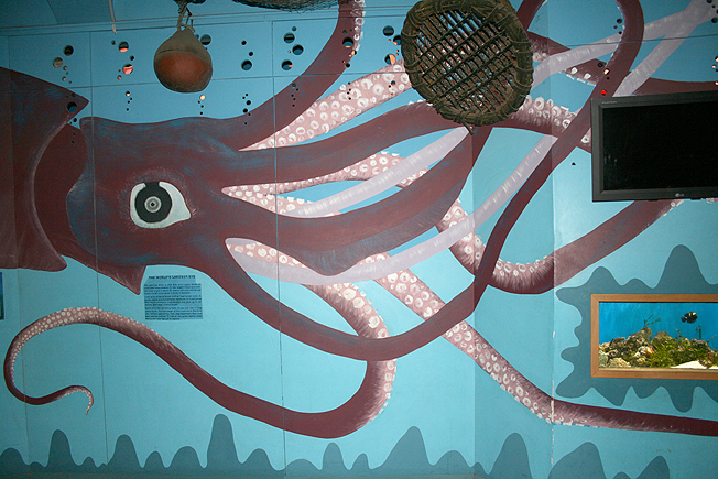 Diary of a zoo illustrator: Giant Squid