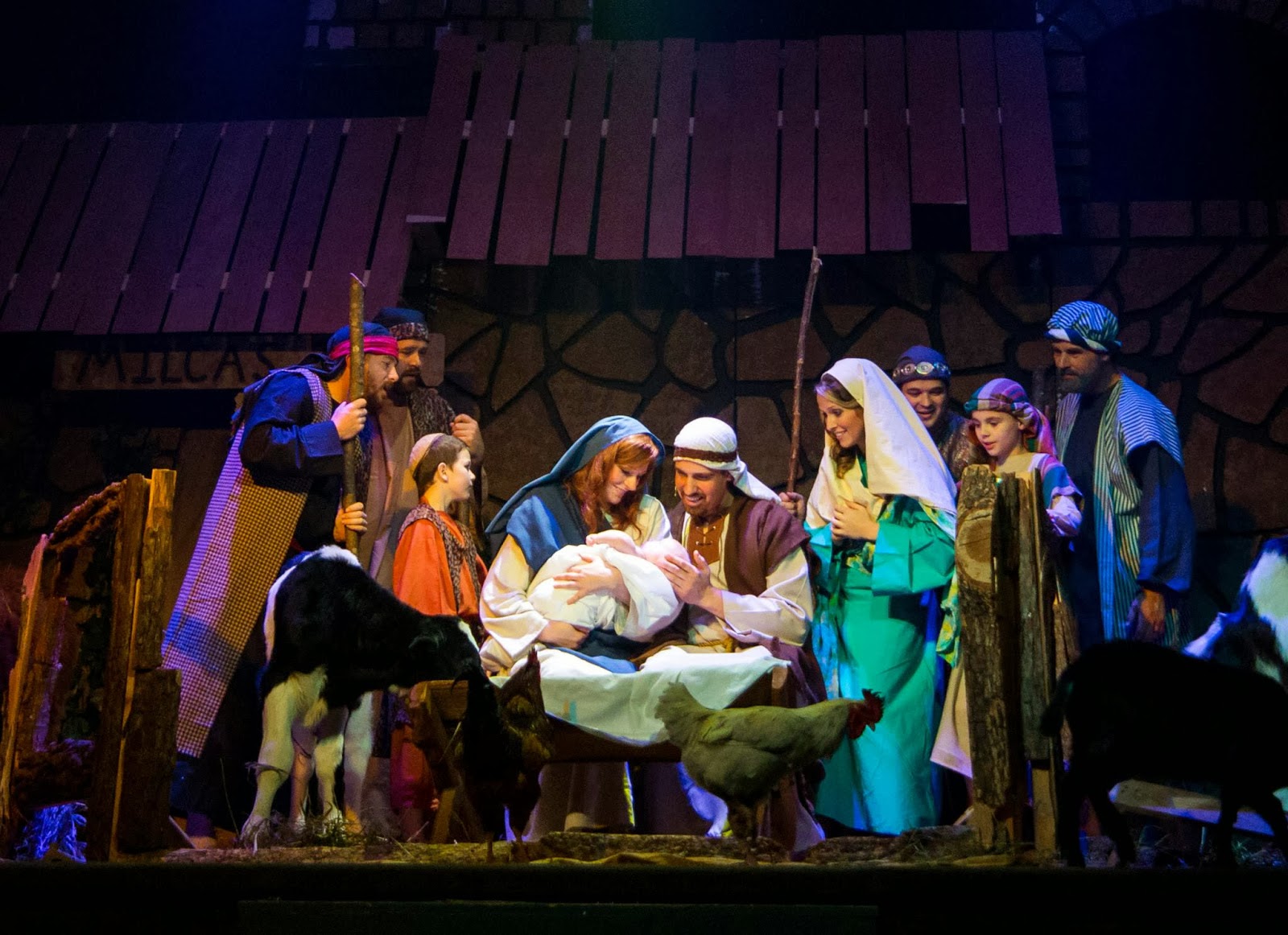 The Garraway Family Adventures: 2013 Live Animal Christmas Play