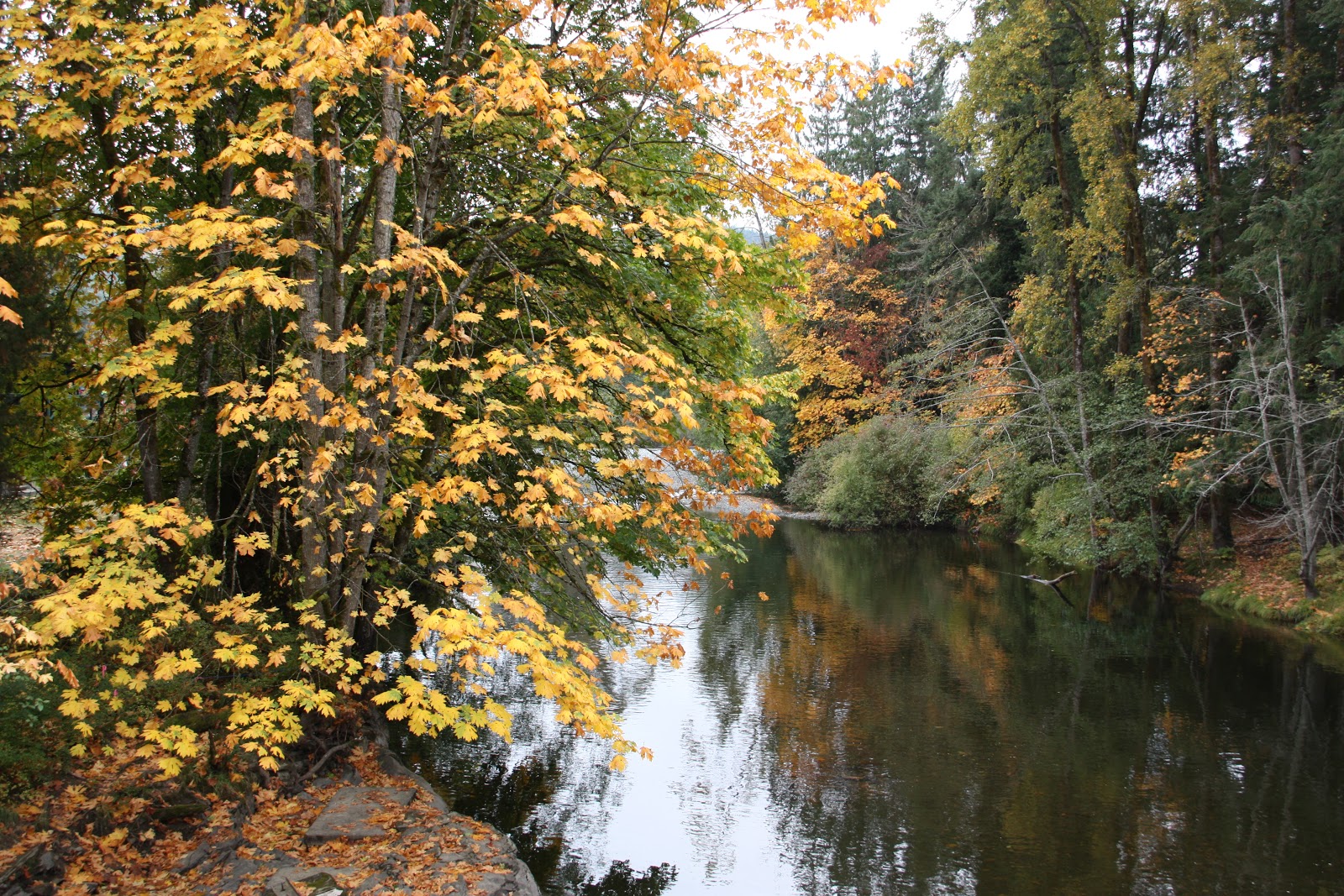 My life with the critters: October 2012