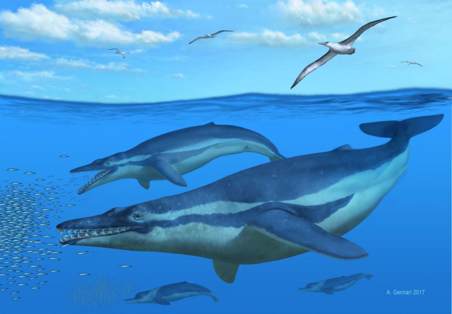 Species New to Science: [PaleoMammalogy • 2017] Coronodon havensteini ...