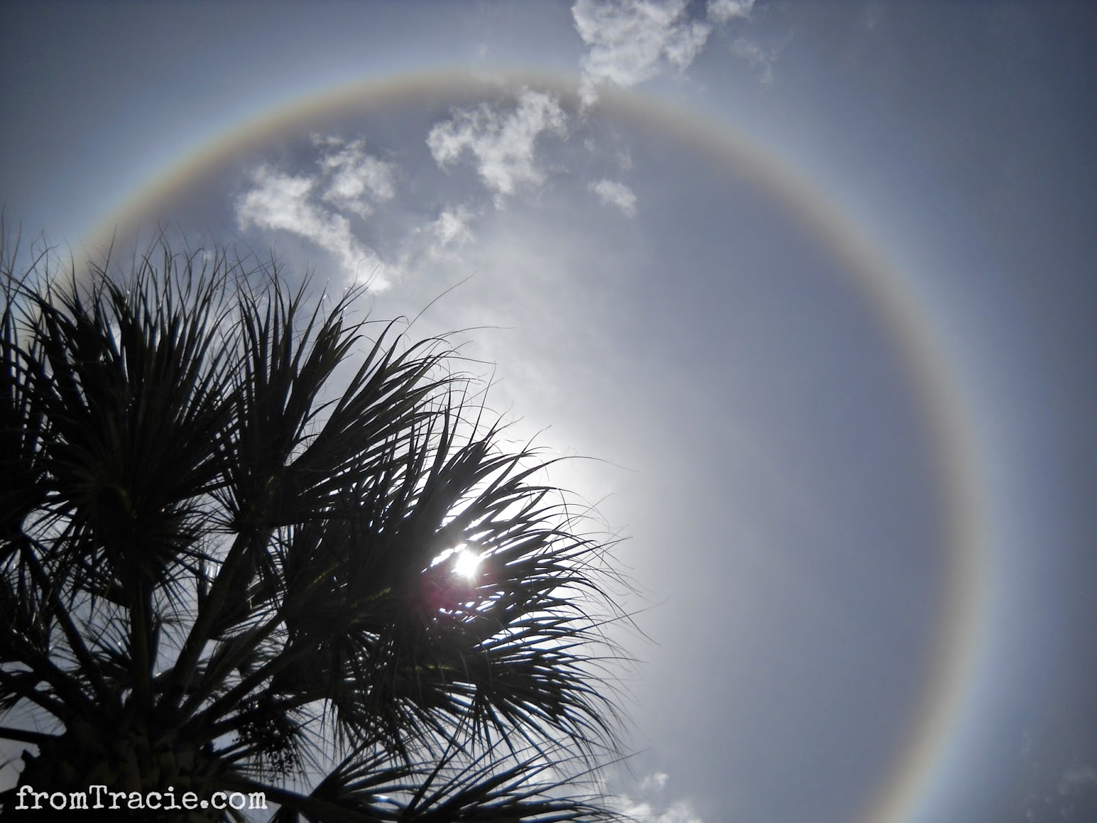From Tracie: Ring Around The Sun