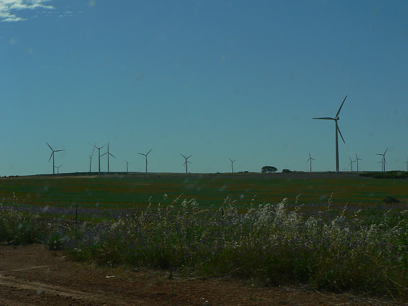 ournomadicways: Kalbarri, Geraldton, The Pinnacles, New Norcia & Wave Rock