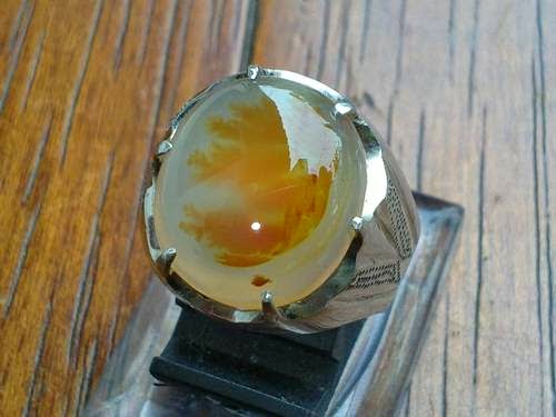 Batu Amber - Senyawa Padat Yang Berasal Dari Fosil | Koleksi Batu Cincin