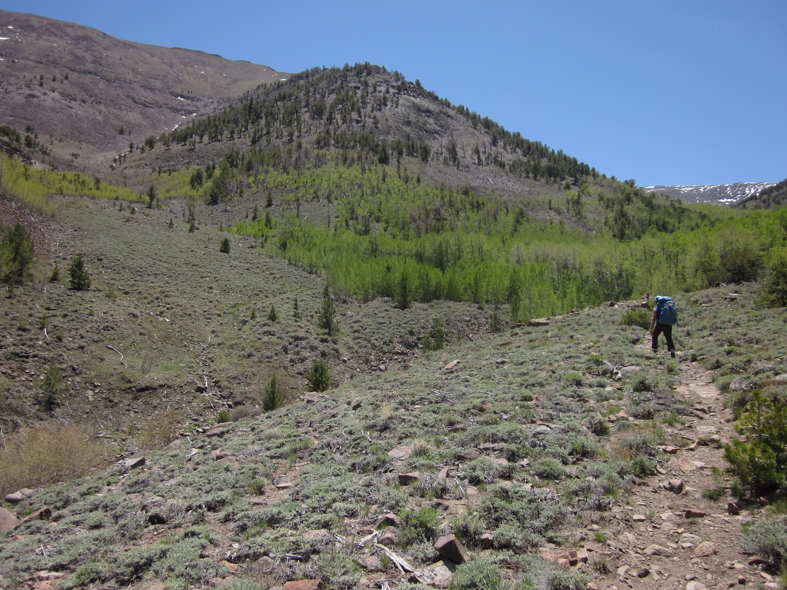 Scootchin' Sand: Alta-Toquima Wilderness