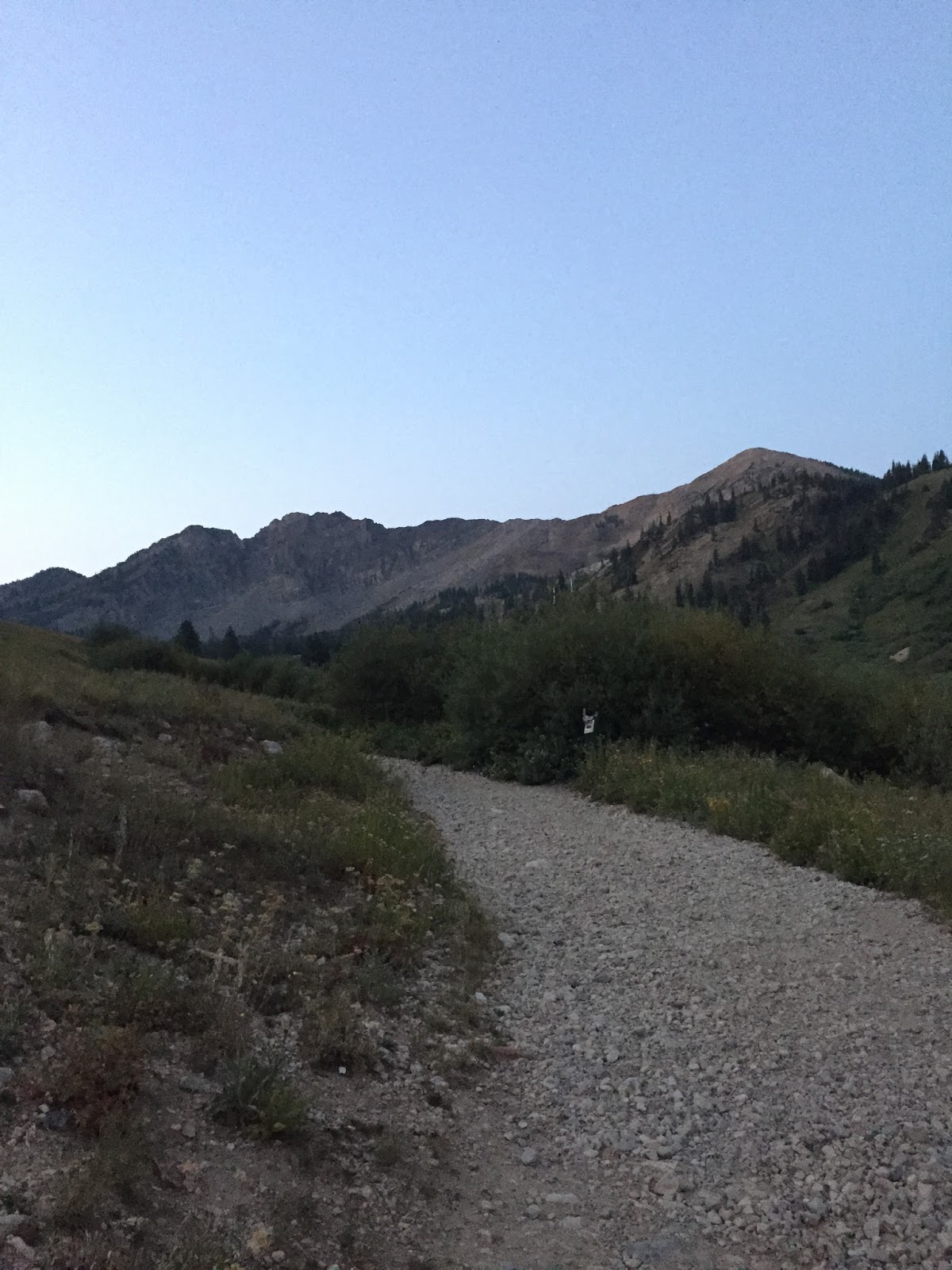 Jessindy's Hiking Adventures: Albion Basin Trail