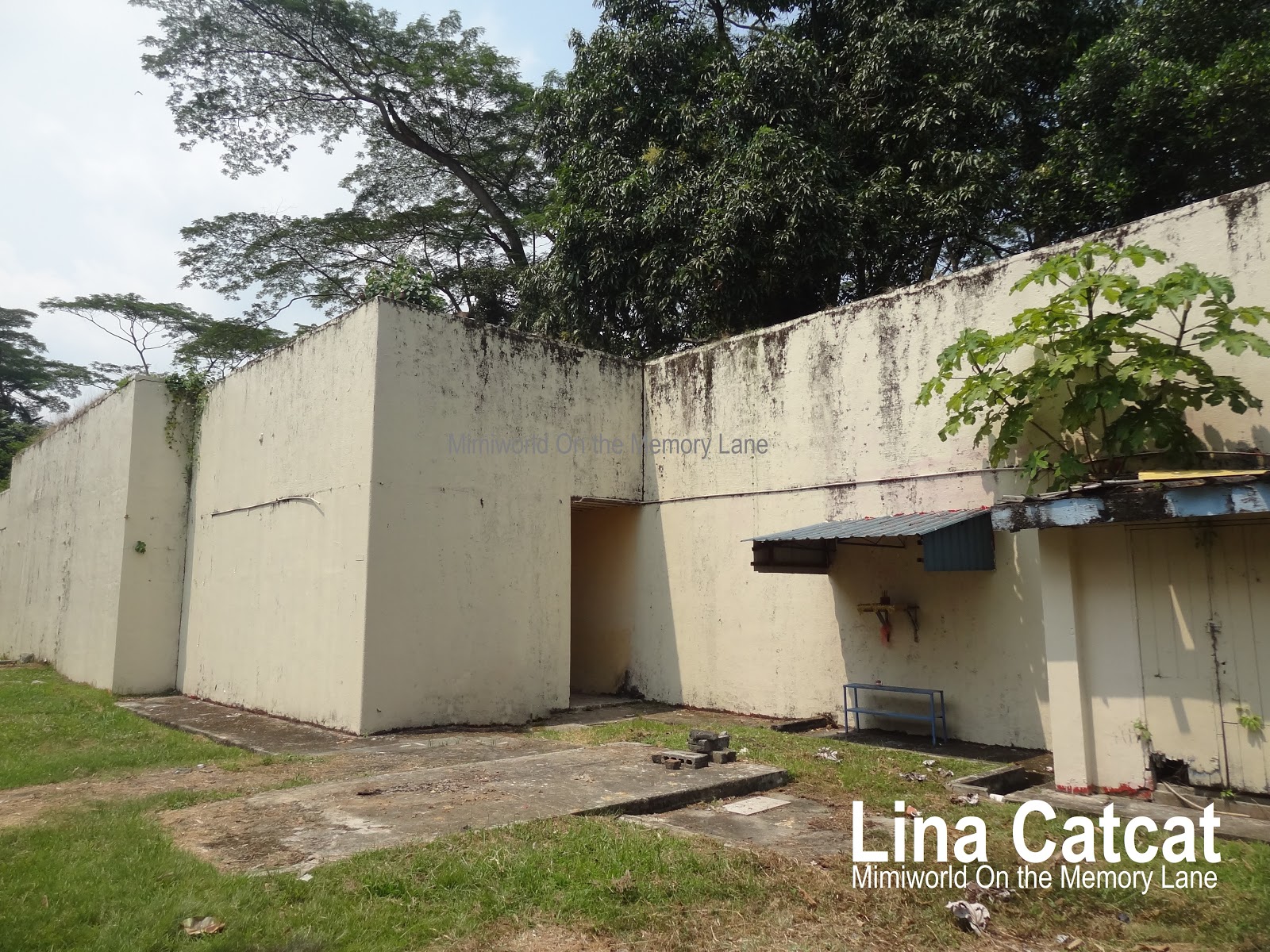 Mimiworld On the Memory Lane: Former NPF and View Rd "Mental' Hospital