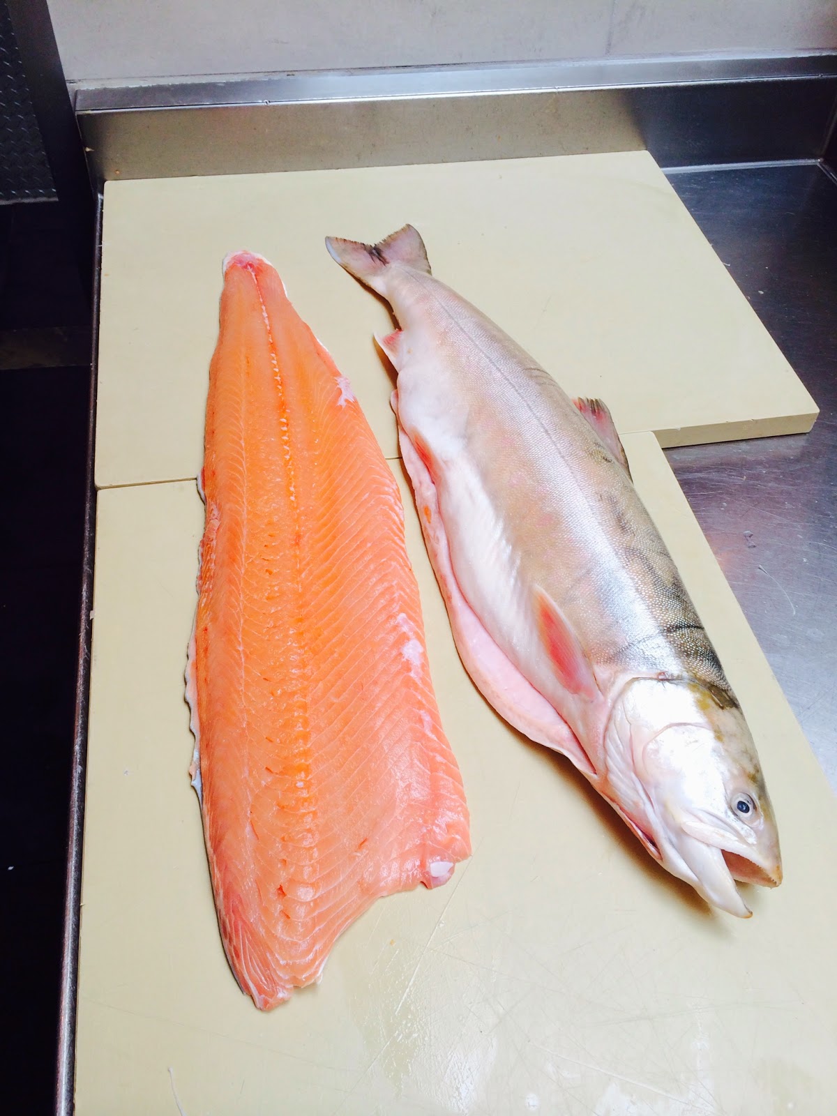 The Edible Ocean: Wild Arctic Char