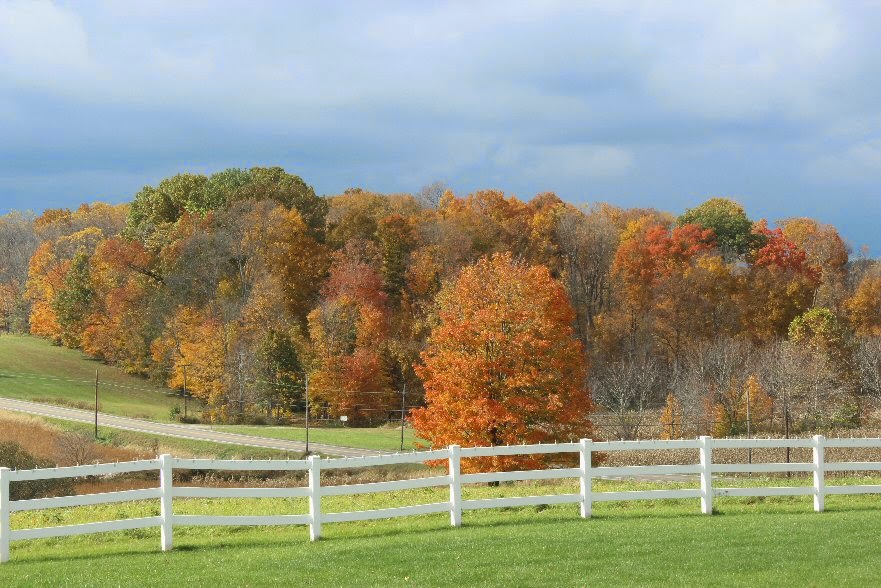 Pauline Persing Art, Writing,& Natural History: Holmes County, Ohio ...