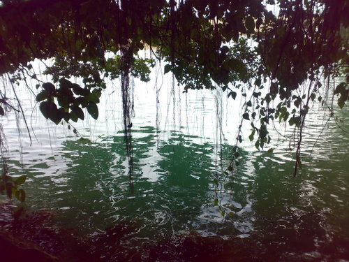 The beauty of the World Shortest River in Sulawesi | Adiprayogo