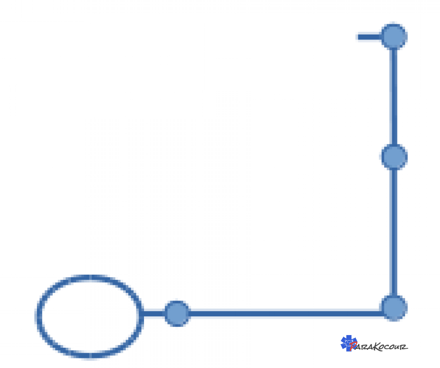 ParaKocour: DKK: Mingazzini vs. Lasegue