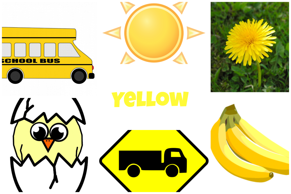 Letter Y is for Yellow Preschool Lesson - Ducks 'n a Row