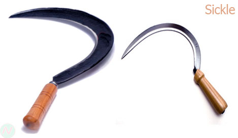 Garden Tools/Implements Name & Images | Necessary Vocabulary ...