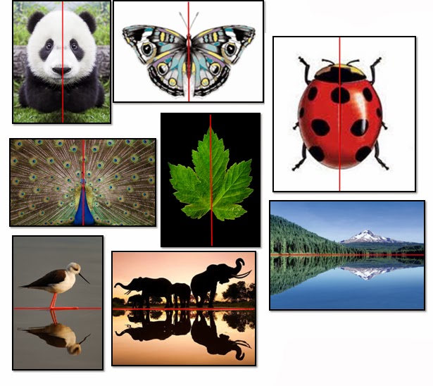 Educación Visual y Plástica: Simetría axial