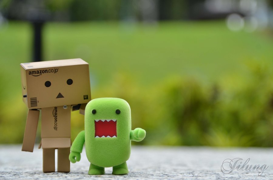 danbo-domo