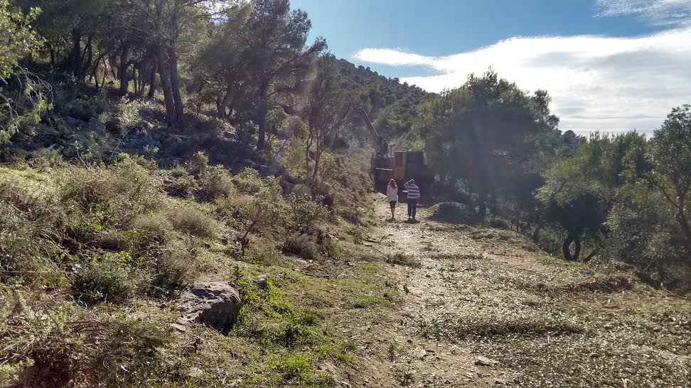 AΝΕΞΑΡΤΗΤΟΣ-ΔΙΠΛΩΜΑΤΙΚΟΣ ΠΑΡΑΤΗΡΗΤΗΣ: ΕΓΚΛΗΜΑ! ΠΑΡΑΝΟΜΟΙ ΥΛΟΤΟΜΟΙ ...