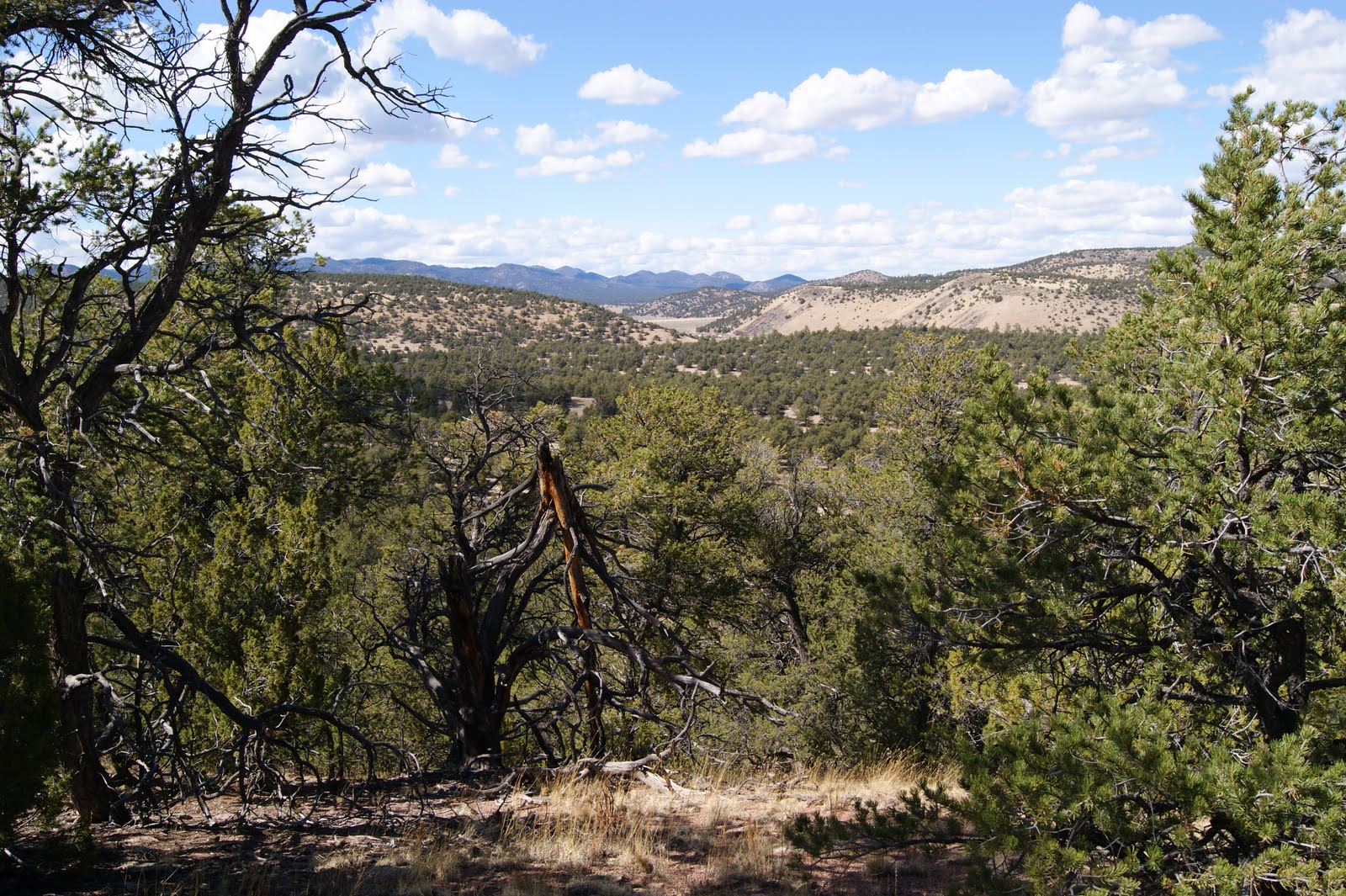Adventurebound8: Datil, New Mexico H: 60s L: 30s