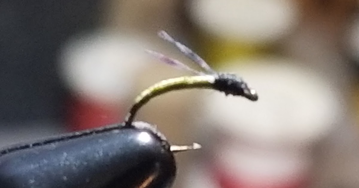 Welcome to the Millers River Fly Fishing Forum : Sunday Morning, Balmy ...