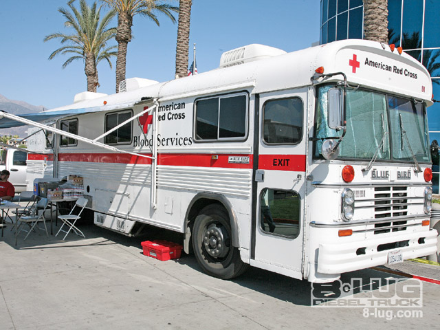 Boehmcke's Human Condition: Unlikely Women I Could Potentially Marry ...