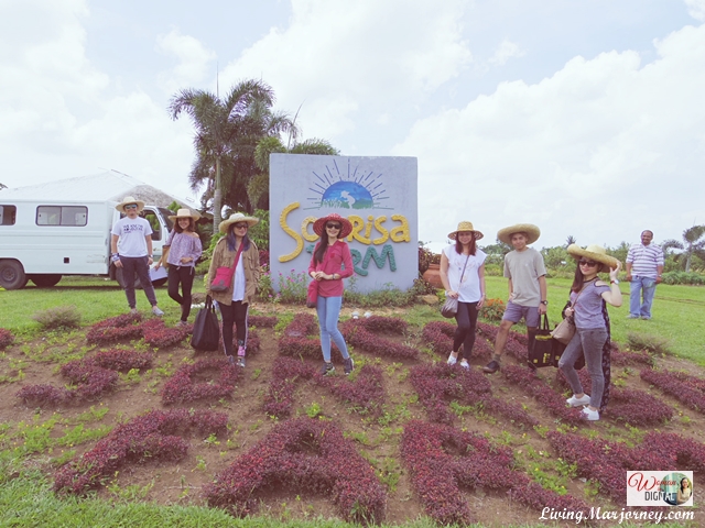 Woman In Digital: My Trip to Sonrisa Organic Farm in Camarines Sur