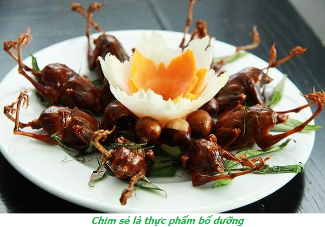 Chuyên bán buôn - bán lẻ chim sẻ đồng tự nhiên - BÁN BUÔN - BÁN LẺ CHIM ...